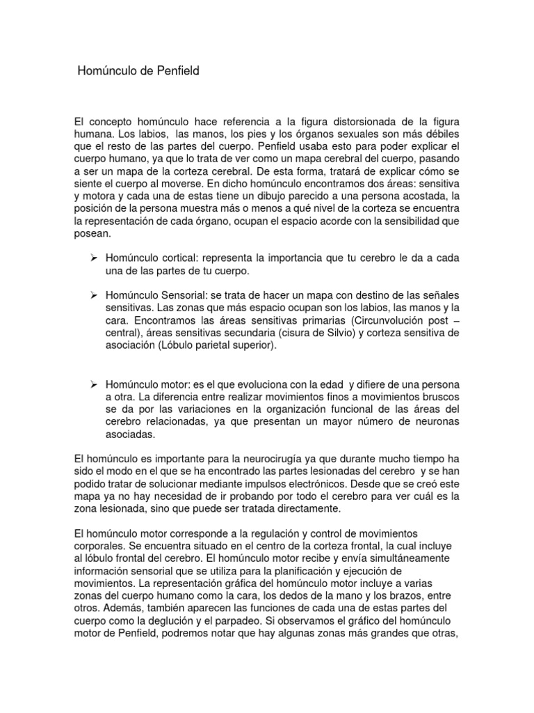Homúnculo de Penfield: Sensitivo y Motor | PDF | Cerebro | Sistema nervioso