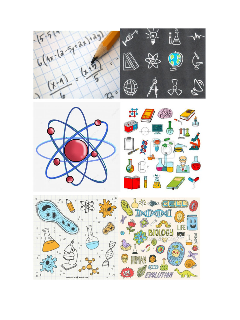 Ramas de La Ciencia | PDF