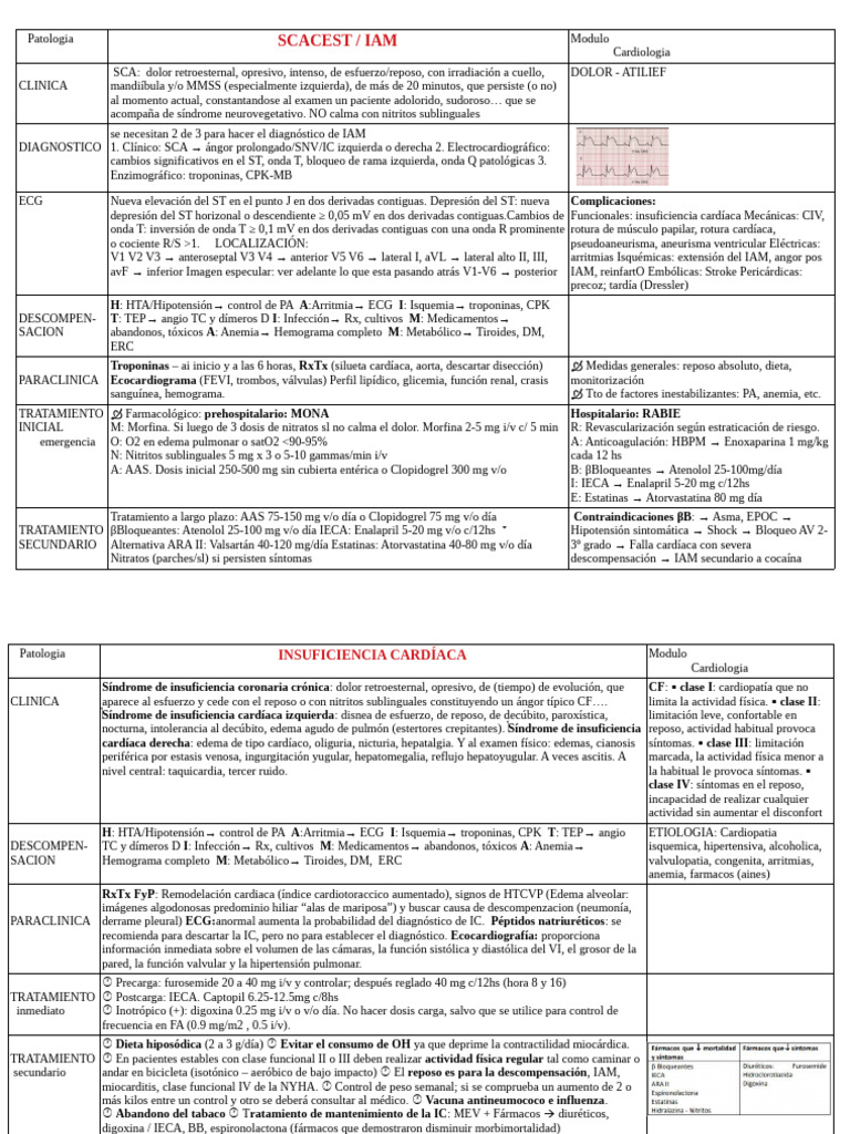 Esquemas Ecoe Medica 2023 | PDF | Electrocardiografia | Medicina CLINICA
