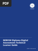 NEBOSH IDip Sample Exam | PDF
