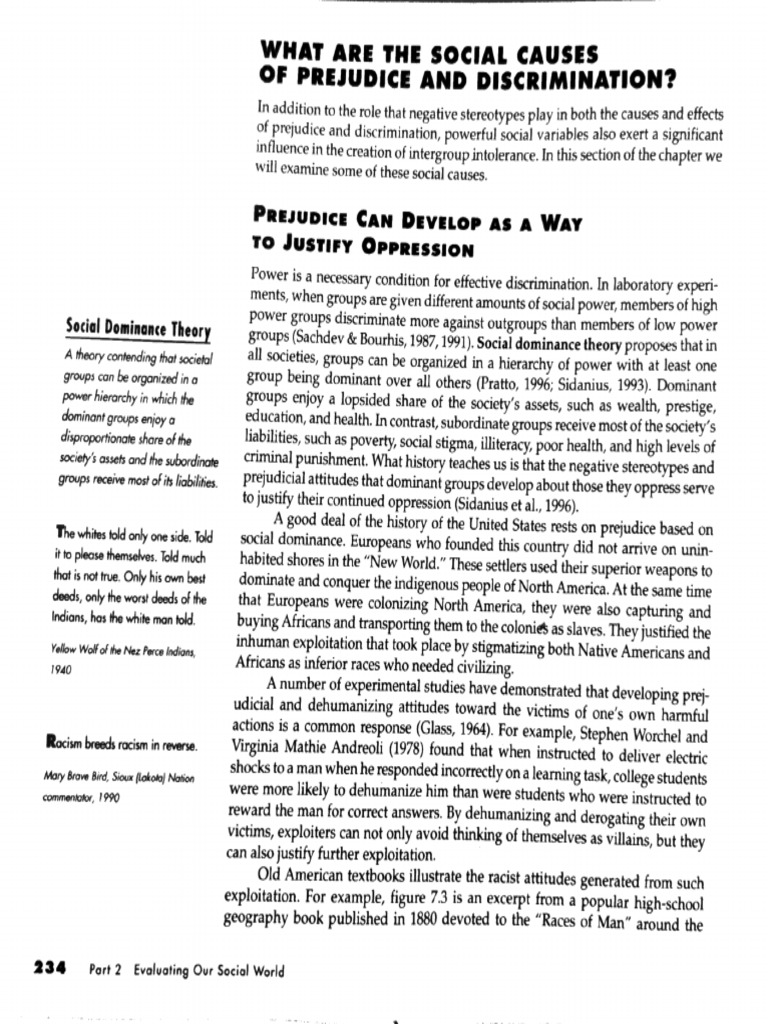 Social Causes of Prejudice 1 | PDF | Prejudices | Stereotypes