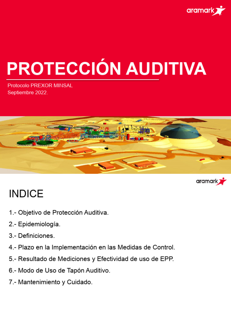 Programa de Protección Auditiva MINSAL | PDF | ruido | Sonido