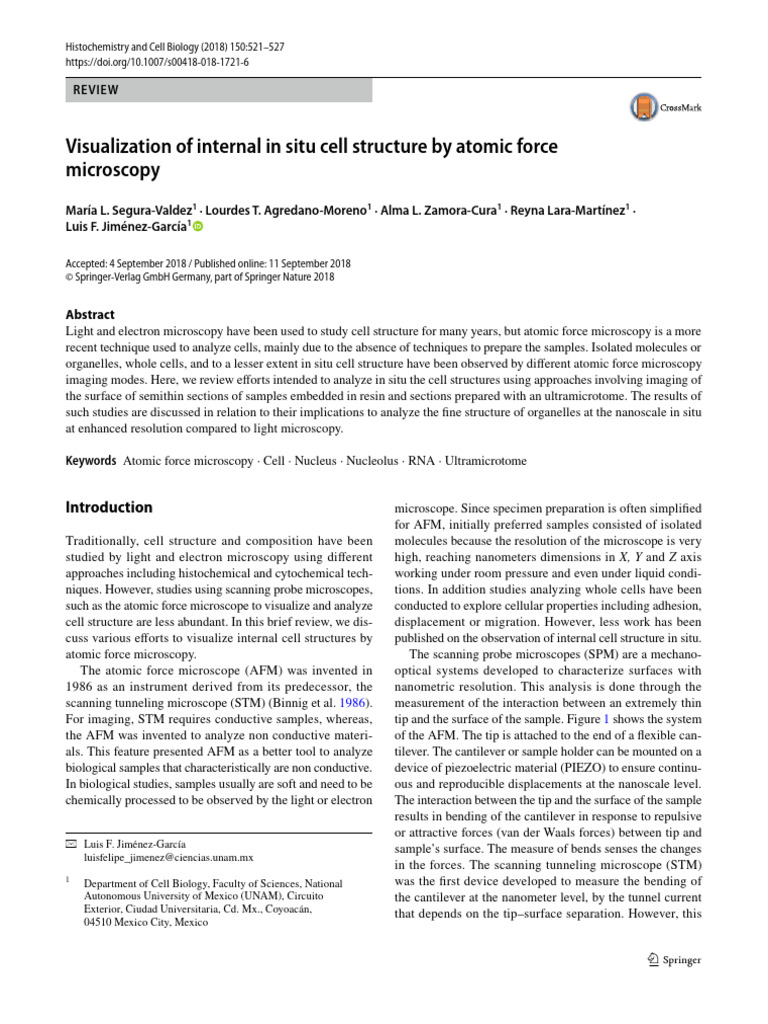 Visualization of Internal in Situ Cell Structure by Atomic Force Micros | PDF | Atomic Force ...