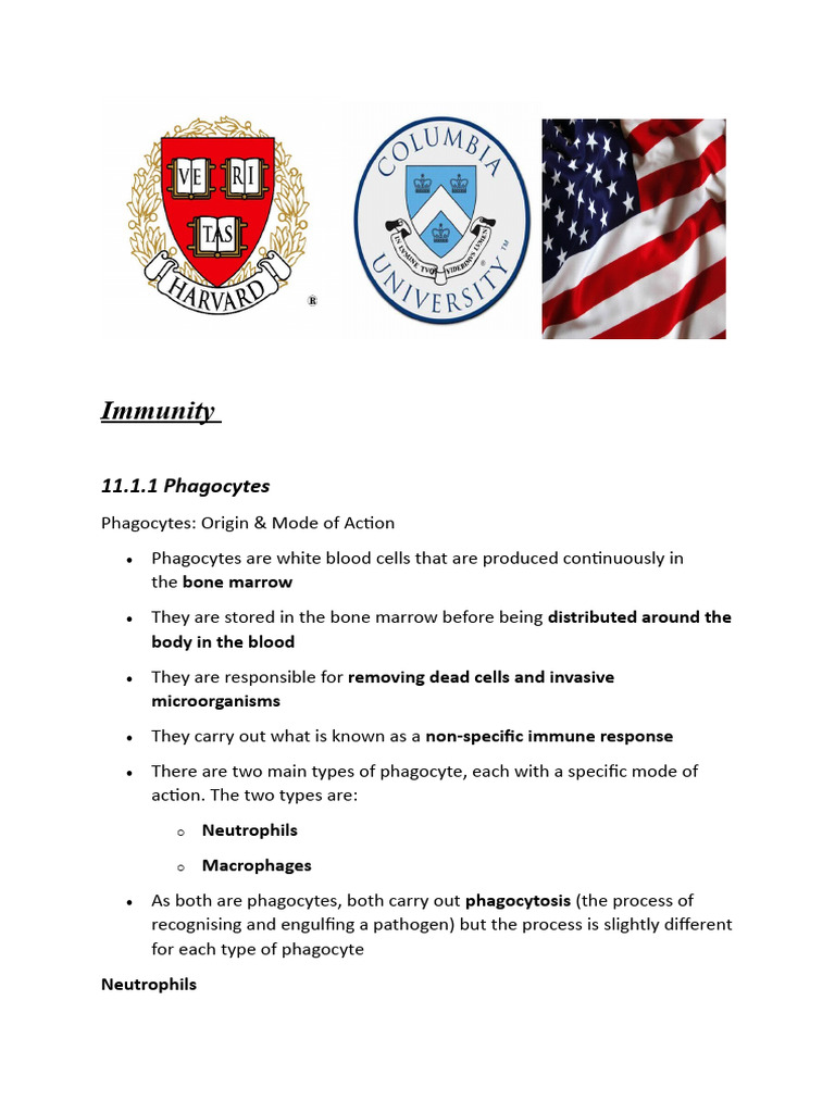 Im Unity | PDF | Antibody | B Cell Im Unity | PDF | Antibody | B Cell