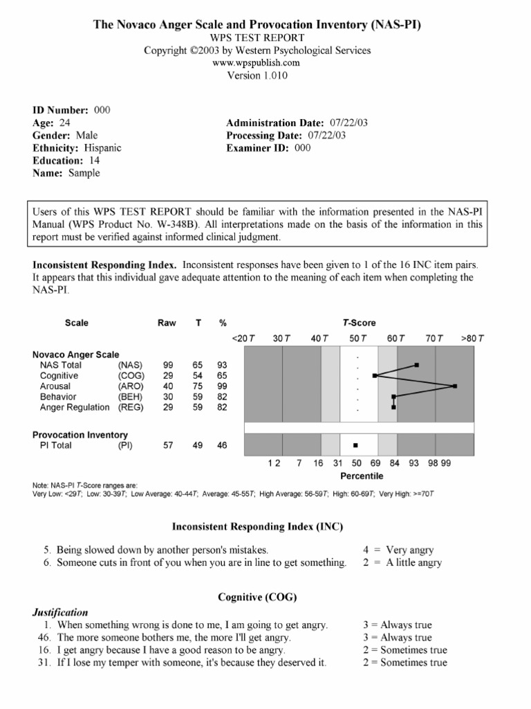 NAS PI Sample Test Report | PDF