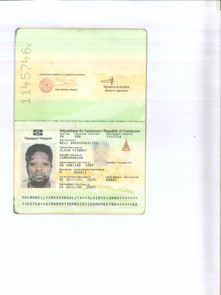 Passport | PDF