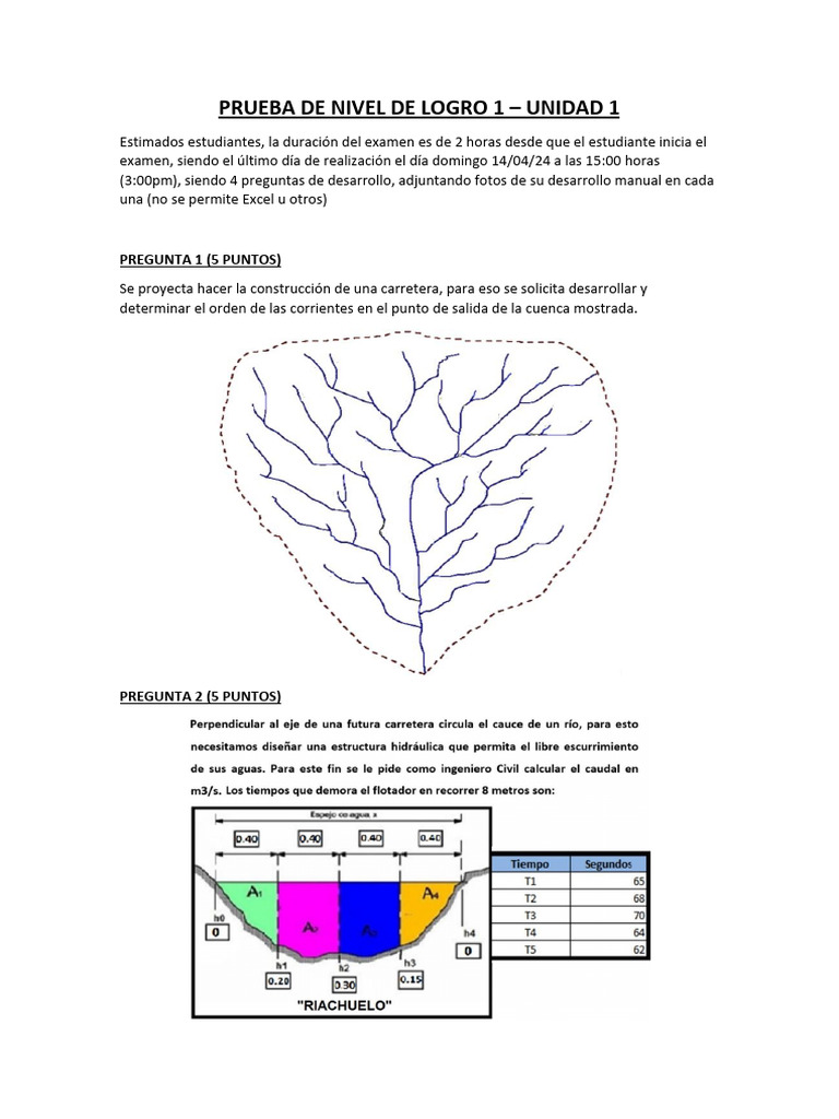 PRUEBA DE NIVEL DE LOGRO 1 | PDF