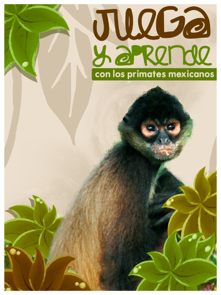Monos y Primates Mexicanos | PDF | Mono