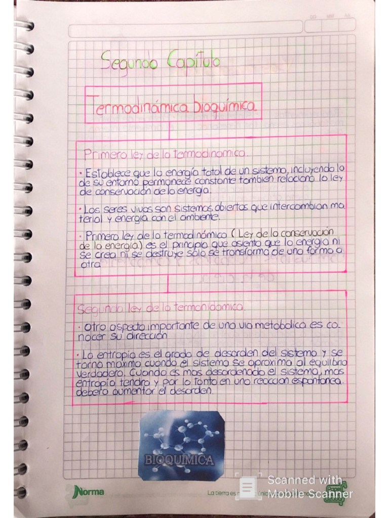 Bioquimica 2 | PDF