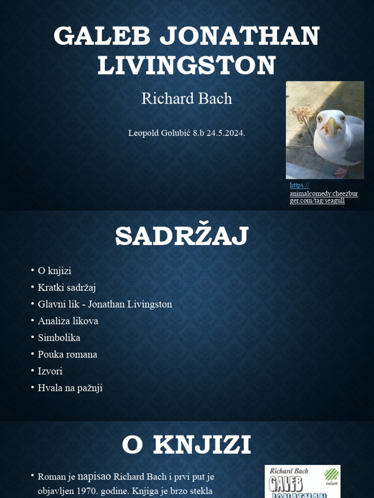 Galeb Jonathan Livingston | PDF