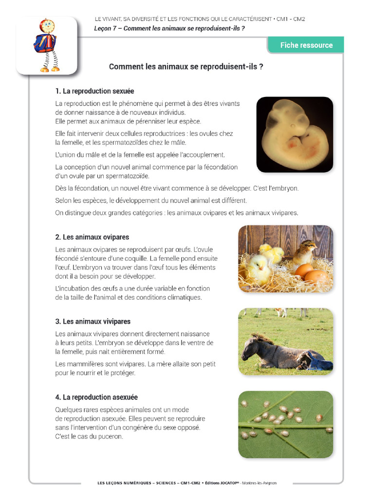 Svt Lecon 7 - Comment Les Animaux Se Reproduisent-ils - Lecon | PDF