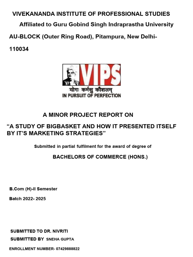 Sneha Bcom2c MPR Project Edited (1) 2 | PDF | Marketing | Marketing Strategy