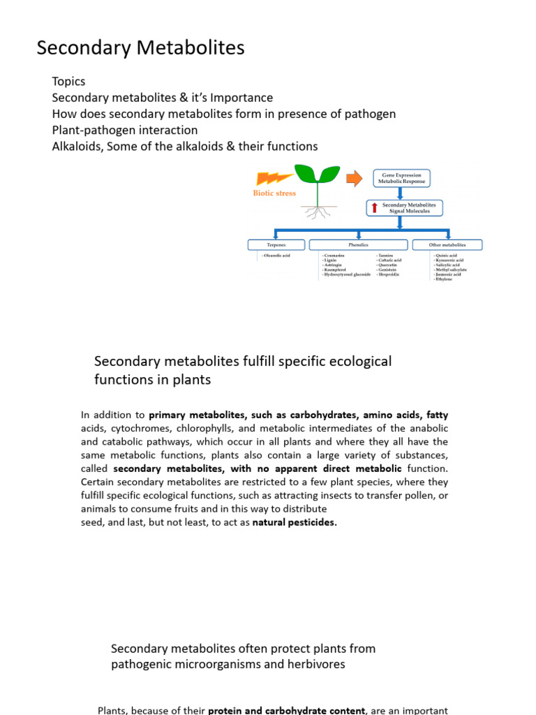 Understanding Secondary Metabolites in Plants | PDF | Alkaloid | Infection