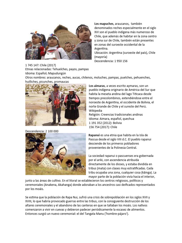 Pueblos Indígenas de Sudamérica | PDF | Etnicidad | Cultura de las Americas