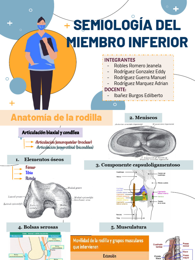 Caso N°04-Sub Grupo 1-Tema 4 | PDF | Rodilla | Sistema musculoesquelético