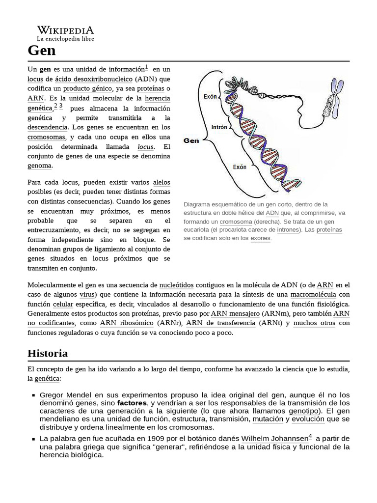 Estructura y Función de los Genes | PDF | Gene | Rna