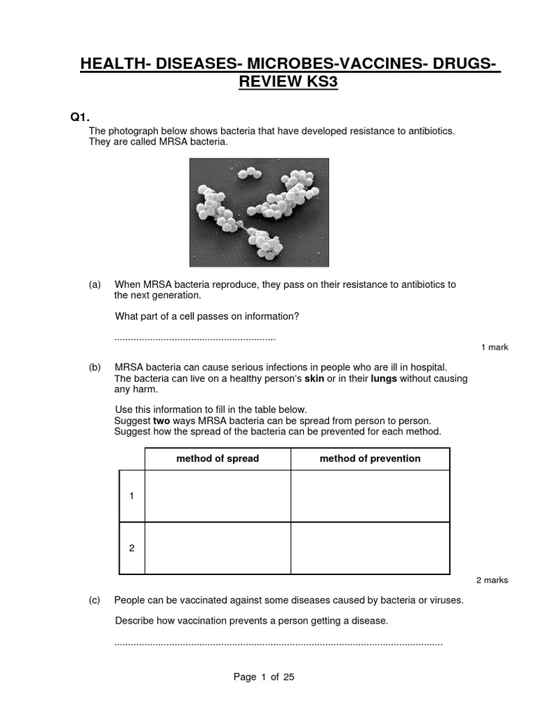 Health Diseases Microbes Vaccines Drugs Review Ks3 | PDF | Heart | Artery