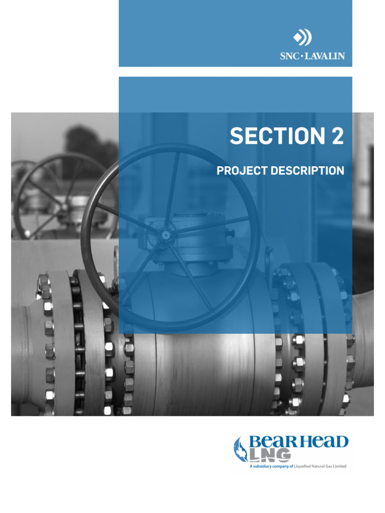 Section 2 | PDF | Liquefied Natural Gas | Natural Gas