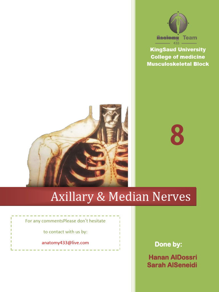 Axillary & Median Nerves Overview | PDF | Arm | Anatomical Terms Of Motion