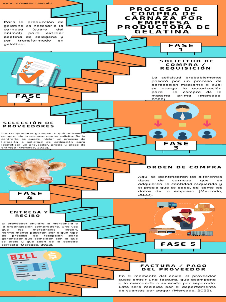 Natalia Charry L - Evidencia AA1-EV01 Infografía Sobre Cuadros de ...