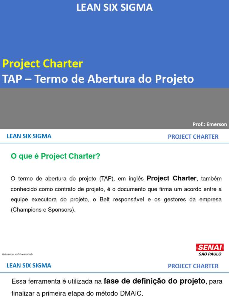 VOC - Project Charter | PDF | Seis Sigma | Business