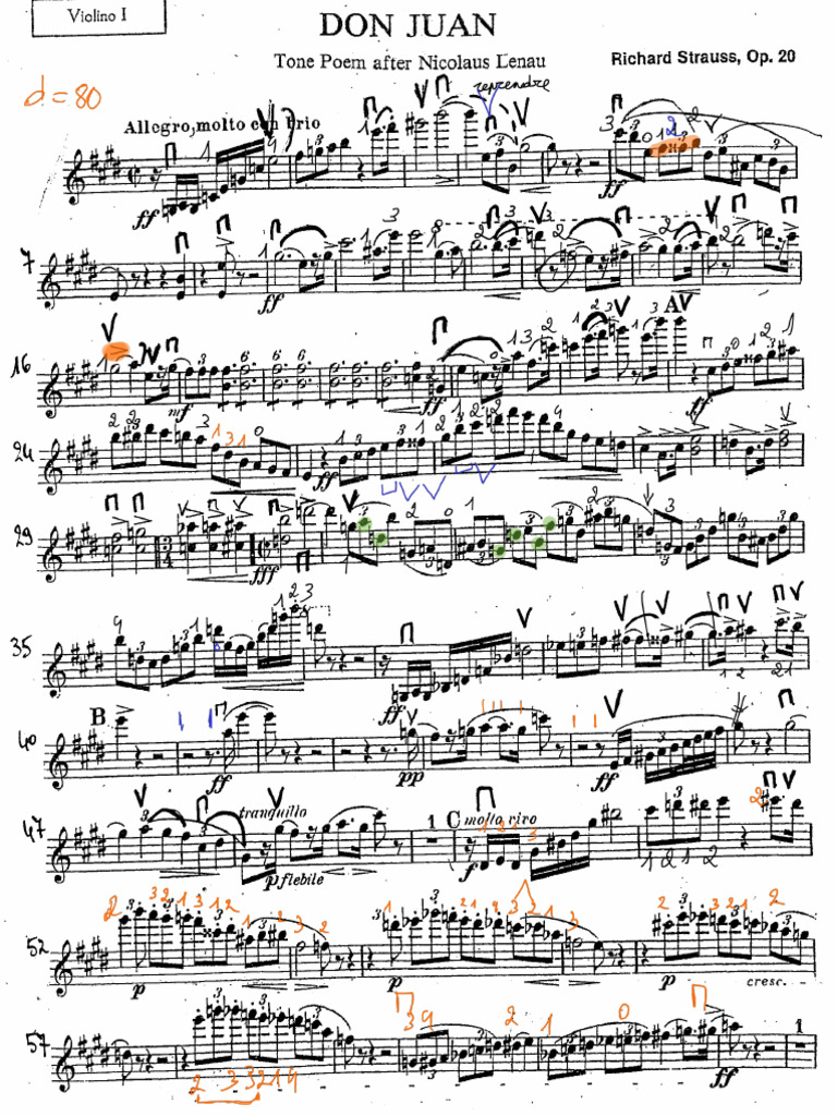 Strauss Don Juan | PDF