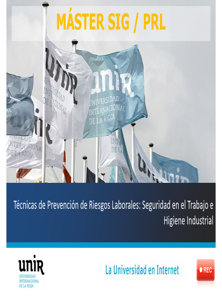 PER 9216 SIG Cap 1 Seguridad e Higiene | PDF | Riesgo | Valores