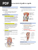 Protocolo de Lyon para Tomografia de Joelho | PDF