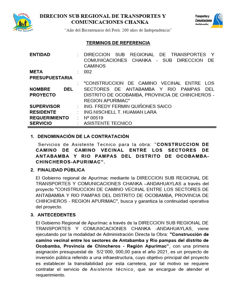 Tdr-Asistente Tecnico | PDF