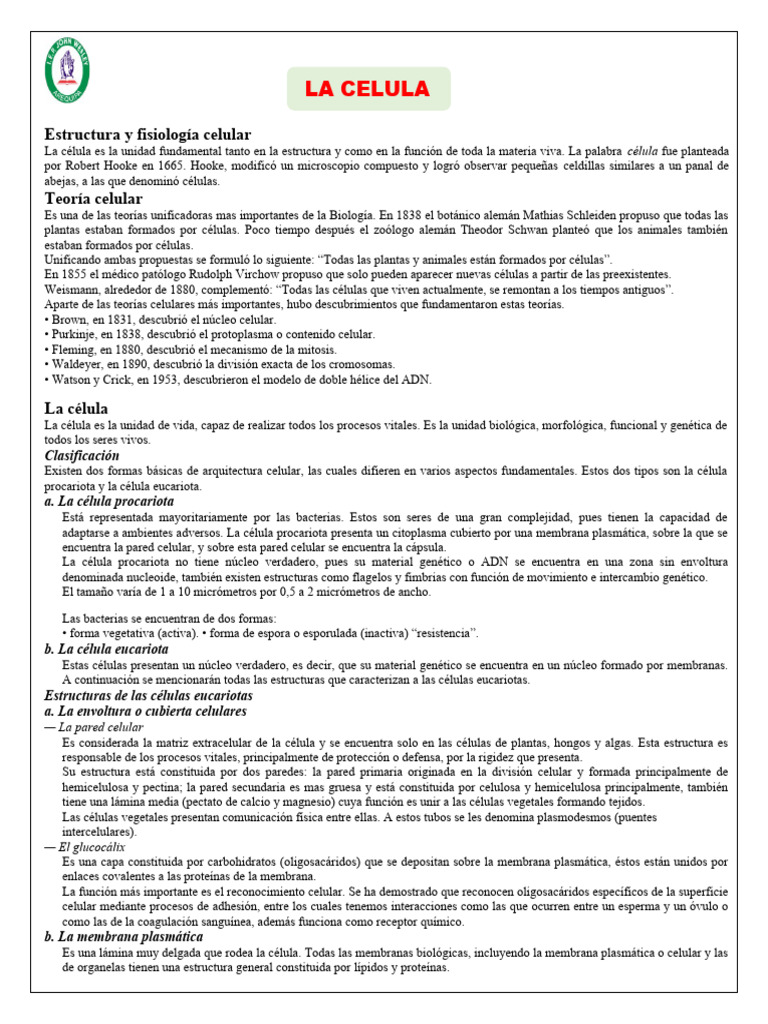 5° Sec Ficha Informativa La Celula | PDF | Lisosoma | Biología Celular)