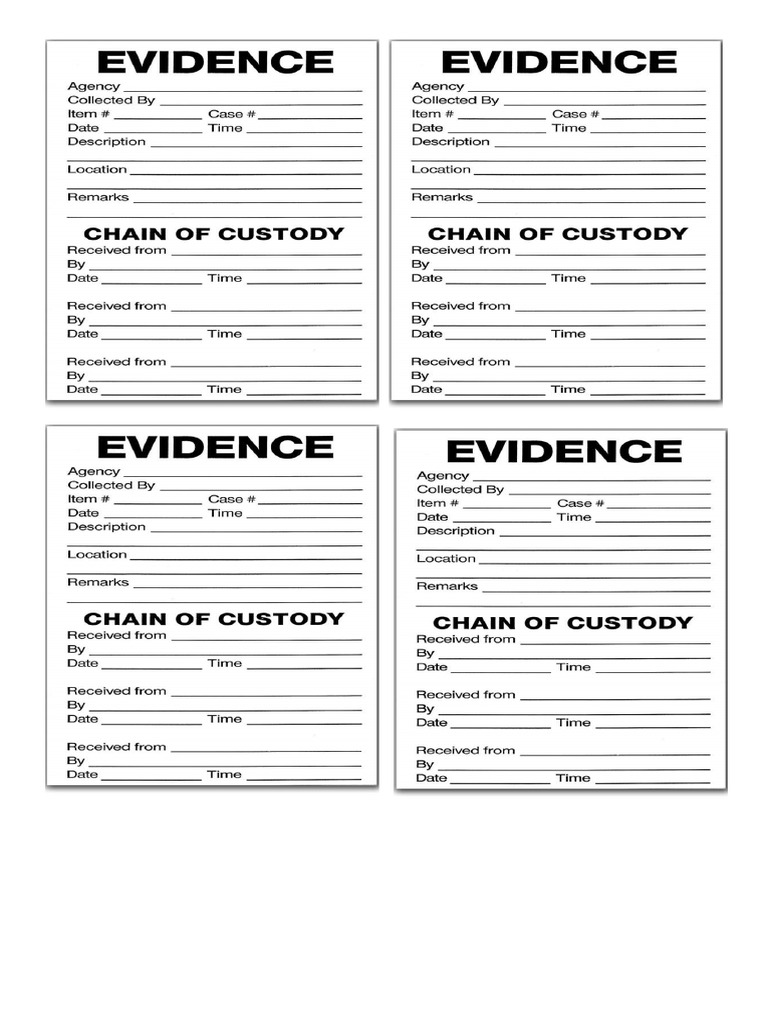 Chain of Custody | PDF