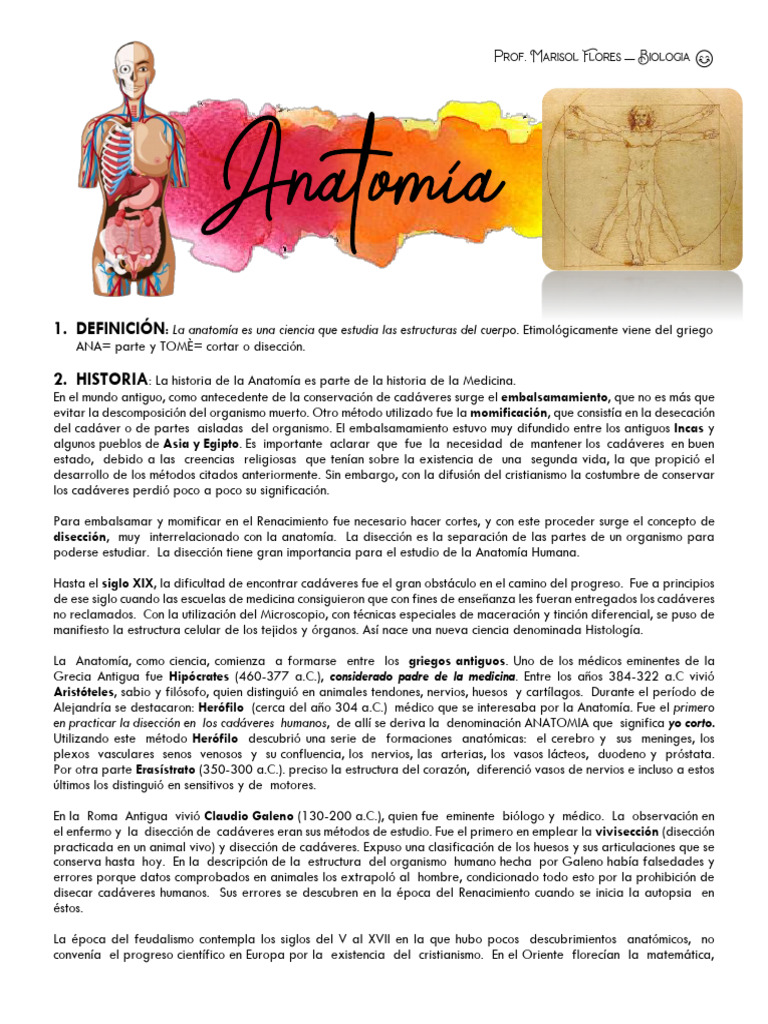Anatomía Pdf Cadáver Anatomía
