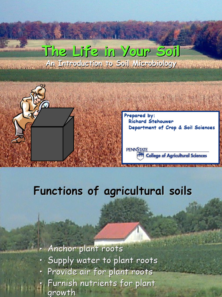 Introduction To Soil Microbiology | PDF | Soil | Root