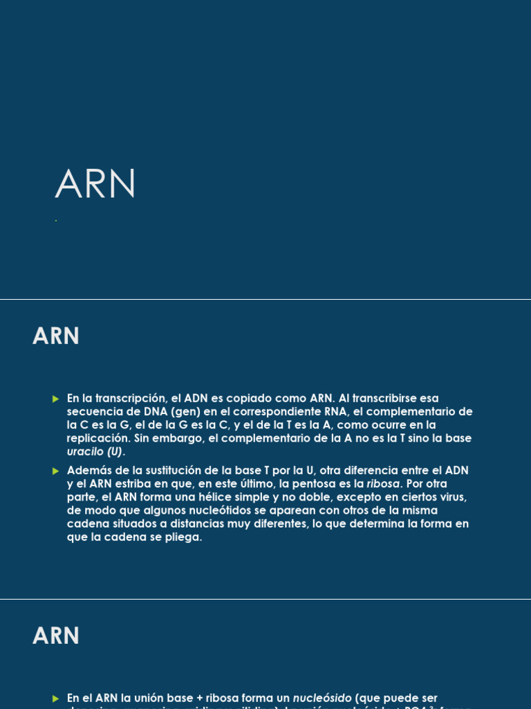 3 Arn-1 | PDF | Rna | Ácidos nucleicos