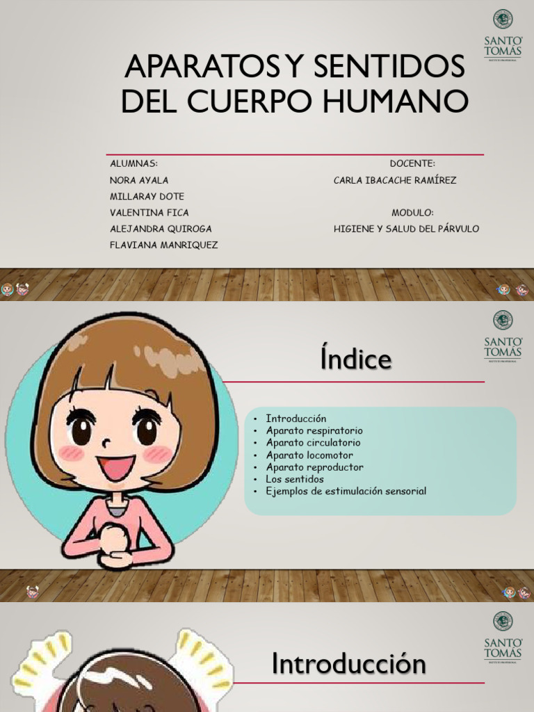 Aparato y Sentidos Del Cuerpo Humano | PDF | Sentidos | Sistema ...