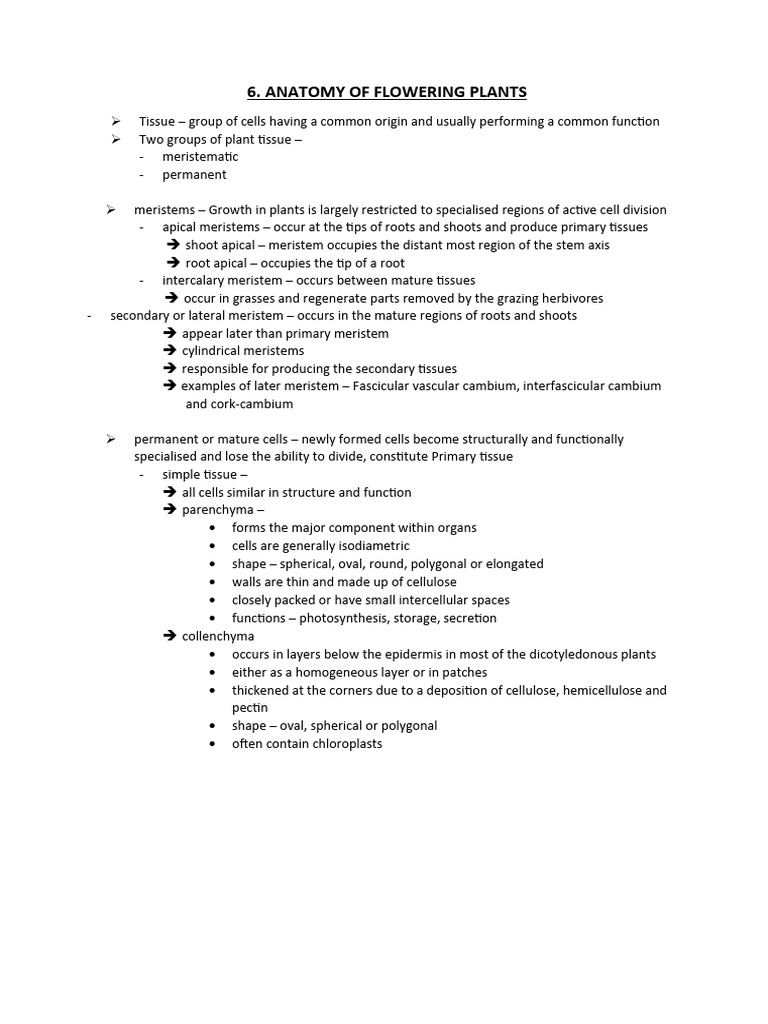 Anatomy of Flowering Plants | PDF | Leaf | Tissue (Biology)