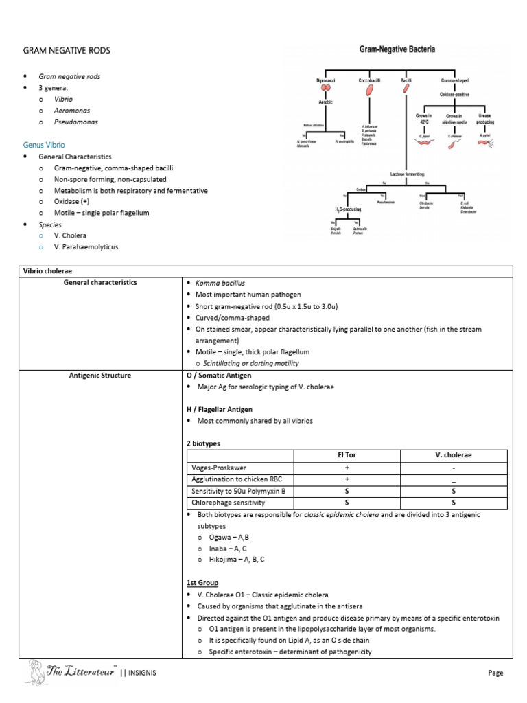 Micro Gram negative rods | PDF | Biology | Microbiology