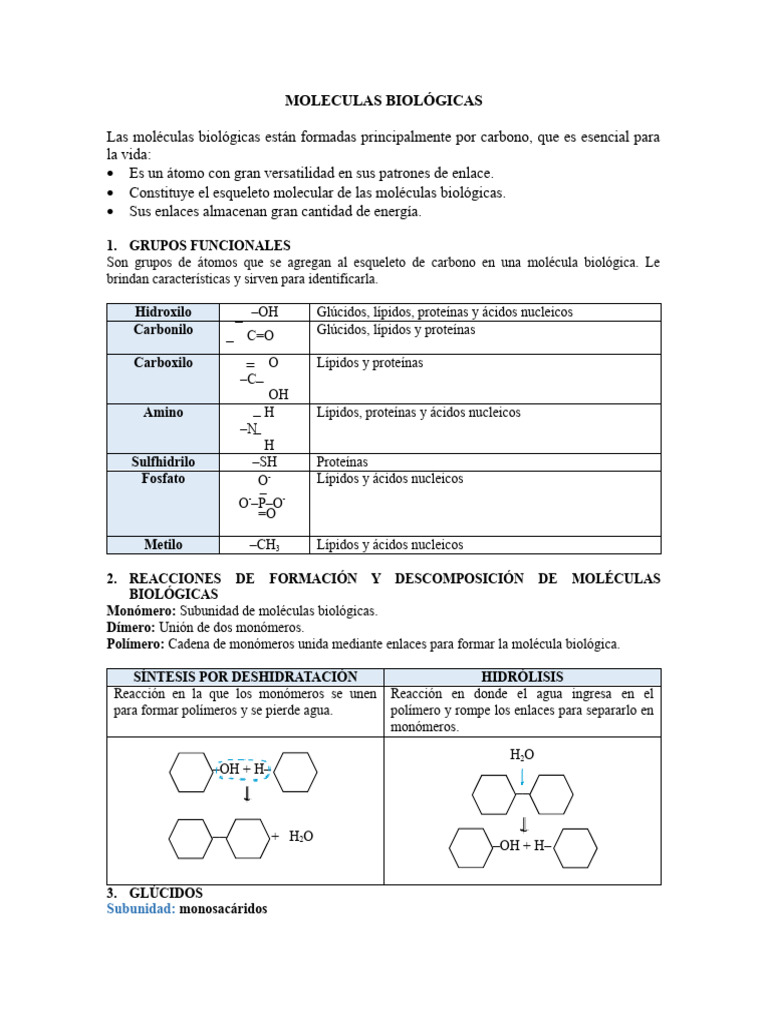 Introducción a Moléculas Biológicas | PDF | Glucosa | Nucleótidos