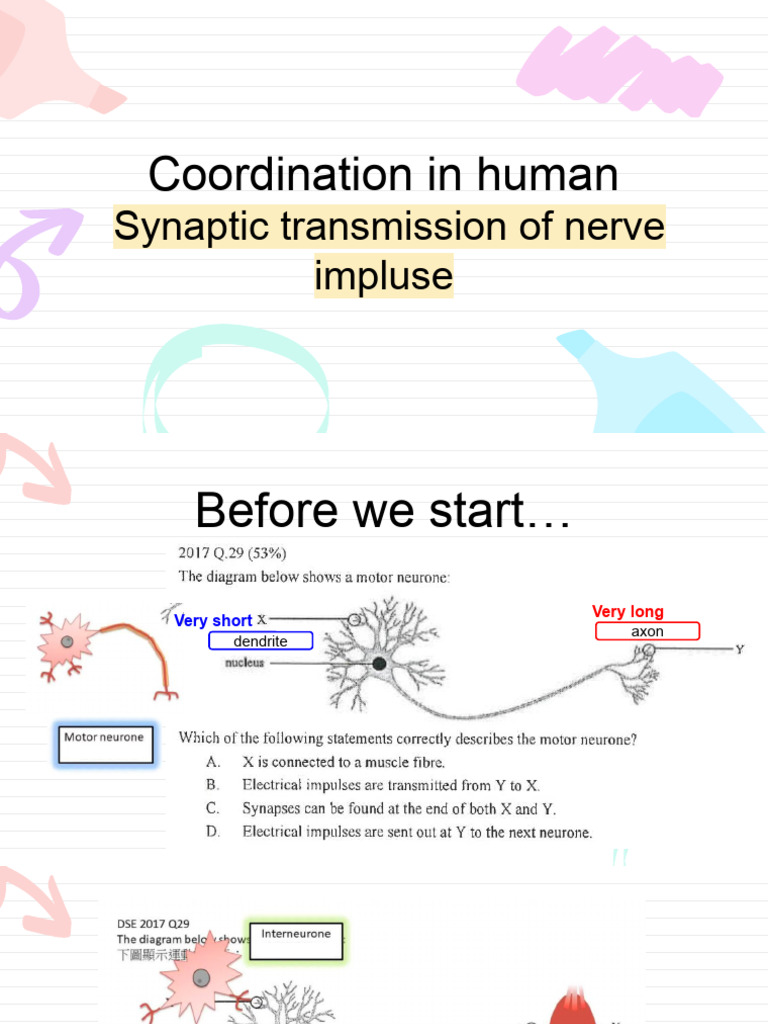 ch.16 Synaptic Transmition of Nerve Impulse | PDF | Synapse | Neuron