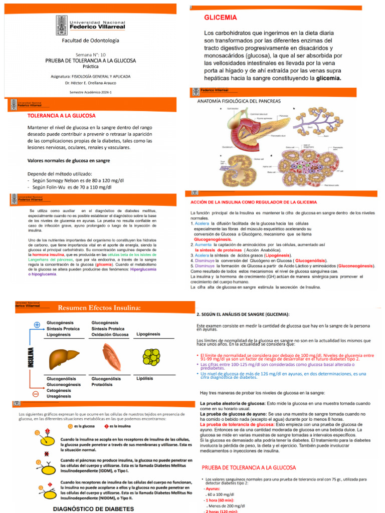 Practica Fisio Sem10 | PDF
