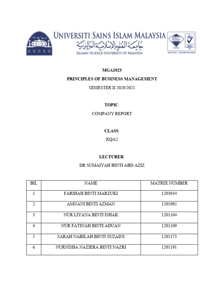 Assingment 1 Company Report | PDF | Sales | Cosmetics