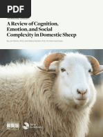 Sheep Scale How Are You Feeling Today - Google Search | PDF | Sheep ...