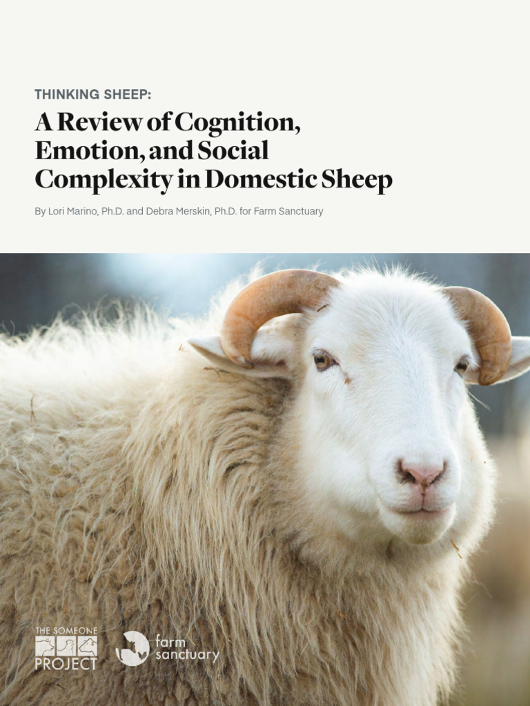 TSP_SHEEP_WhitePaper | PDF | Sheep | Emotions