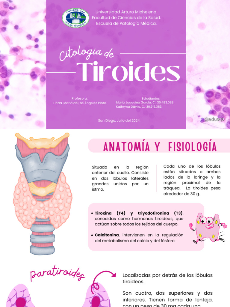 Citología de Tiroides y Ganglios. Joaqui y Kathryna. (1) | PDF ...