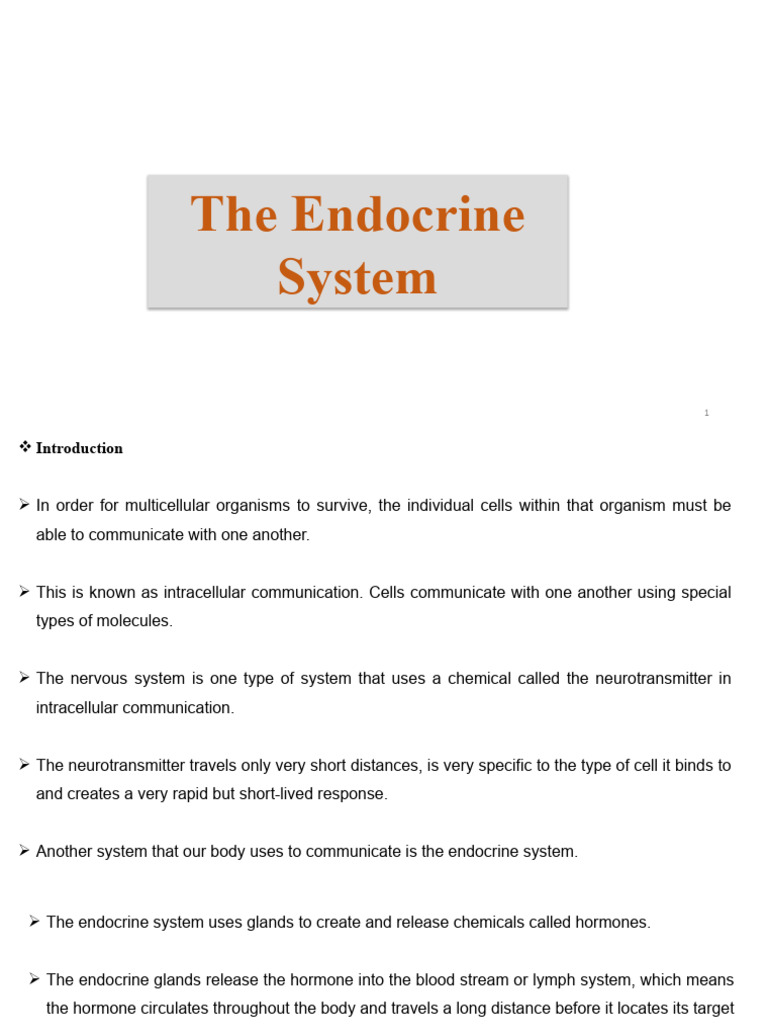Overview of the Endocrine System | PDF | Endocrine System | Hormone