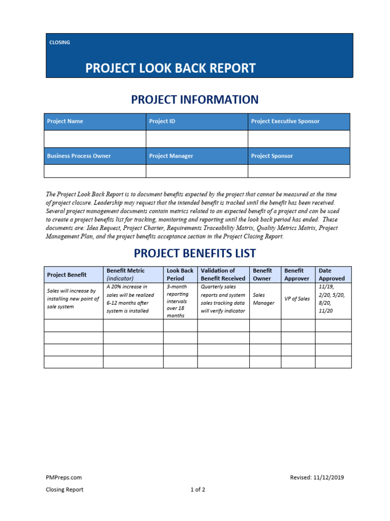 C-6 Project Look Back Report | PDF