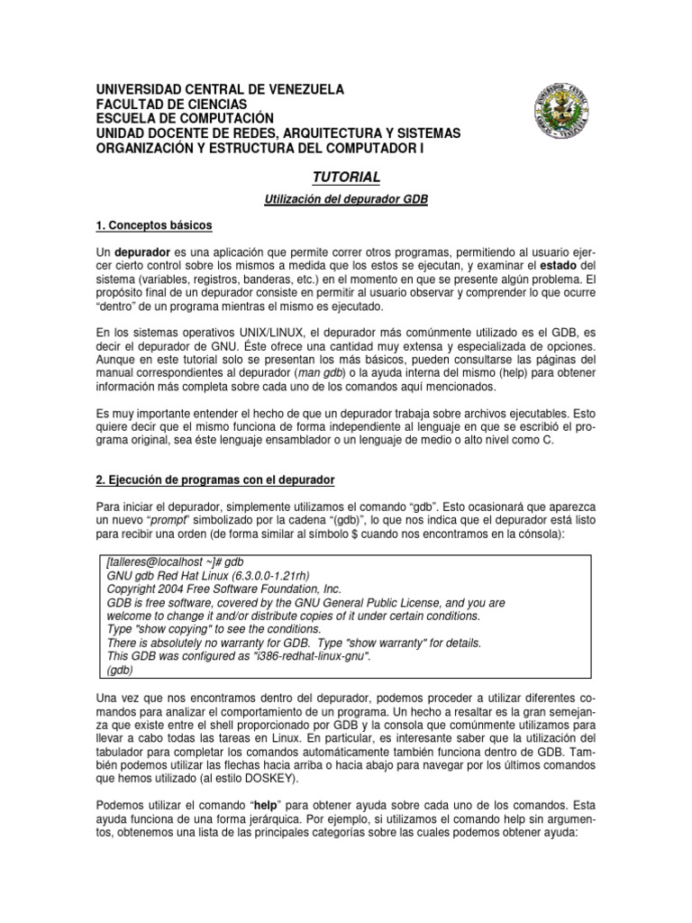 Depurador | PDF | Programación | Programa de computadora