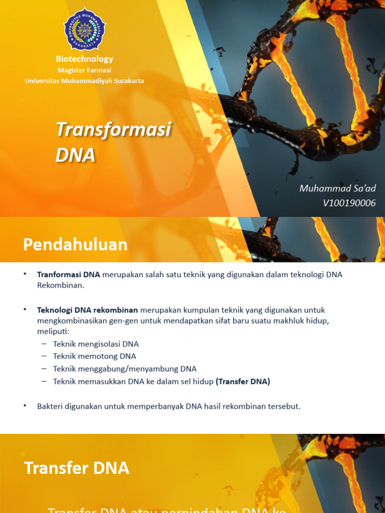 Transformasi DNA | PDF