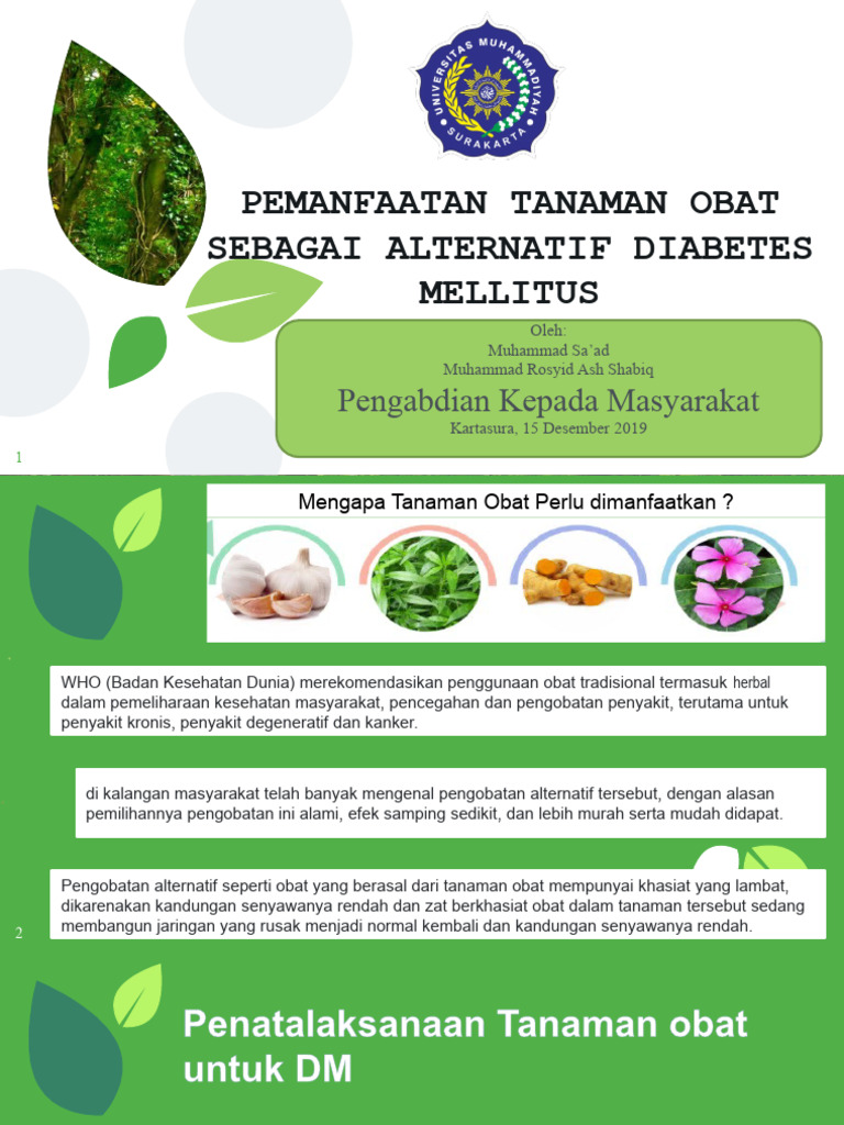 Tanaman Obat untuk Diabetes Mellitus | PDF