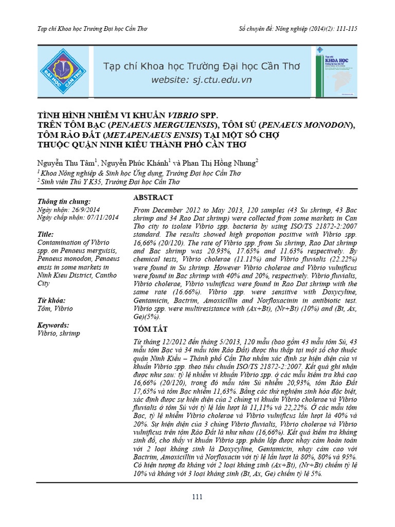 Cn21 Nguyen Thu Tam (111 115) | PDF